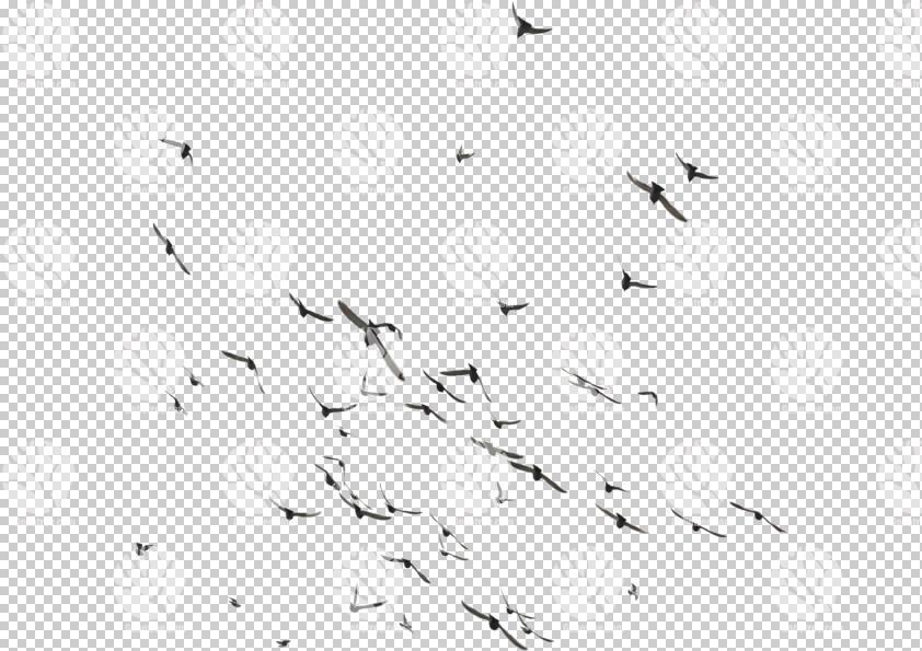Gobotree - cut-out of adult bird flying