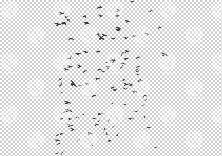 Gobotree - cut-out of adult bird flying