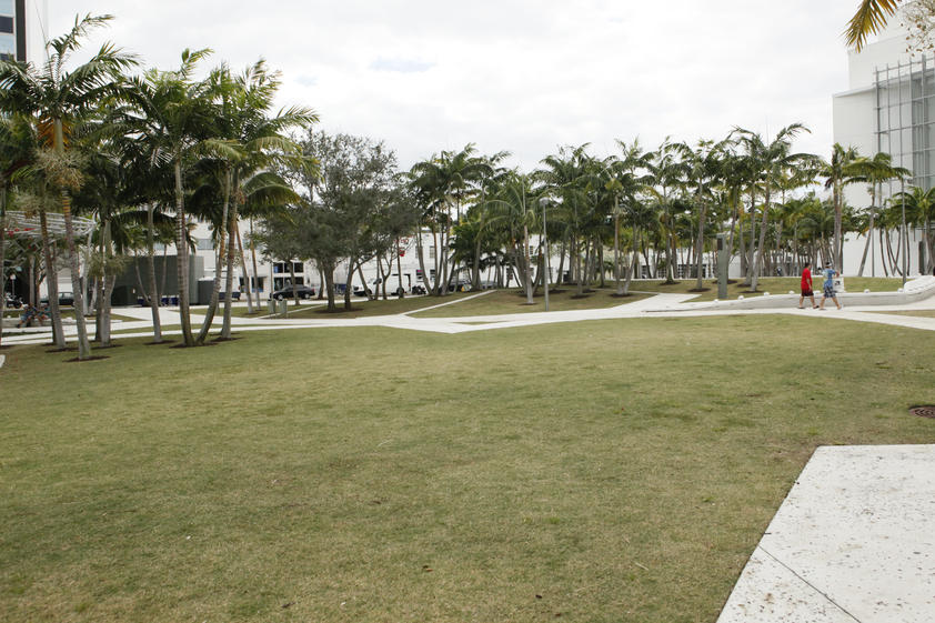 Gobotree - image from The United States Miami park during summer day