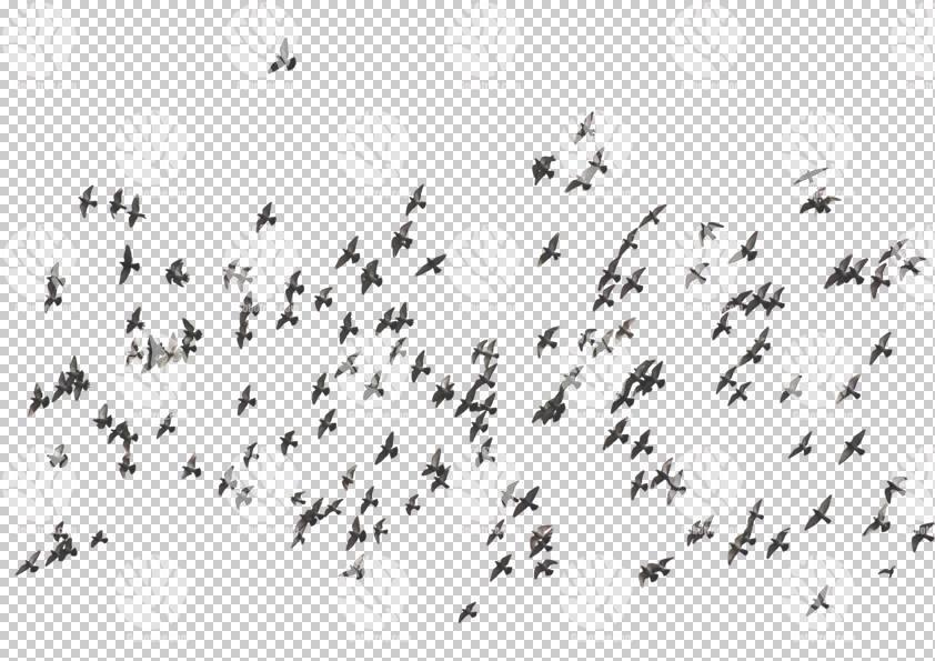 Gobotree - cut-out of adult bird flying