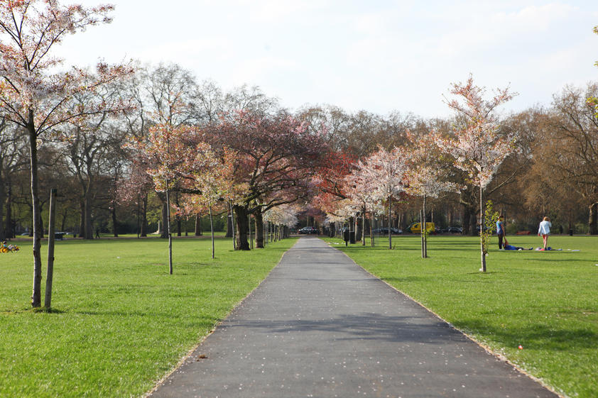 Gobotree - image from The United Kingdom London park during spring day