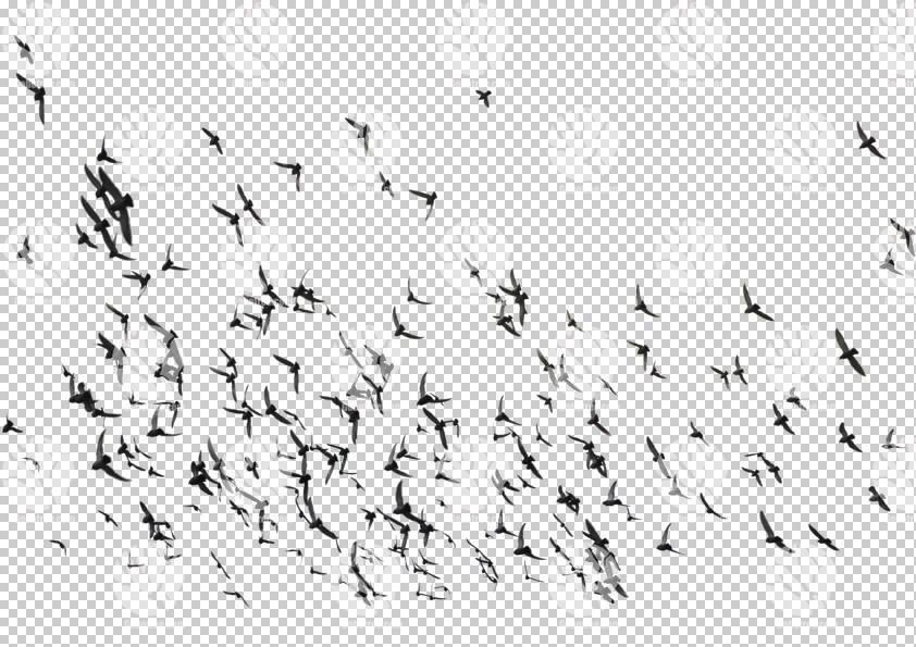 Gobotree - cut-out of adult bird flying